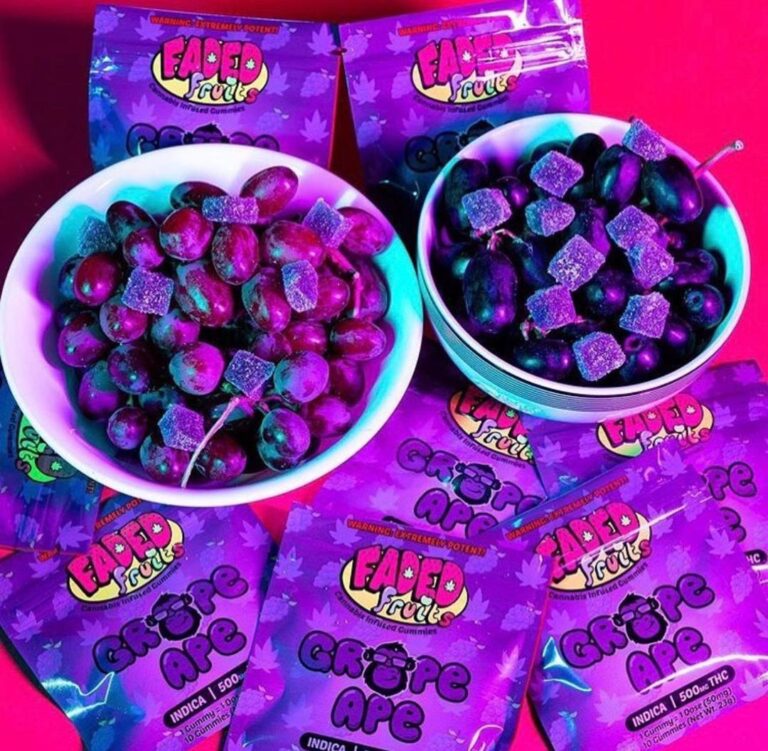 Faded Fruits Box - 500 packs - Faded Fruit